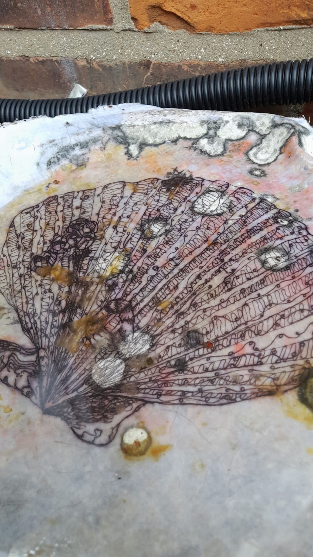 Human:Non-Human Drawings - Lauren Saunders